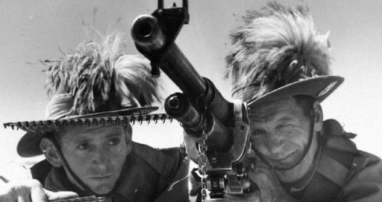 The Great Emu War Of 1932 And Australia's Futile Attempt To Eradicate Emus