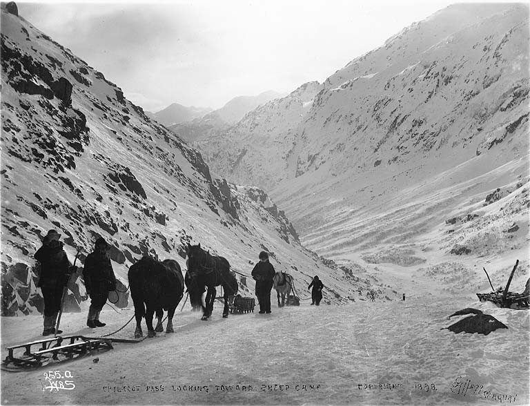 Klondike Gold Rush: 39 Fascinating Historical Photos