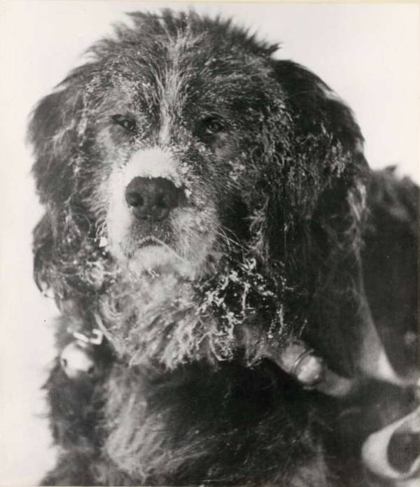 Antarctic Expeditions: 33 Breathtaking Early 20th Century Images