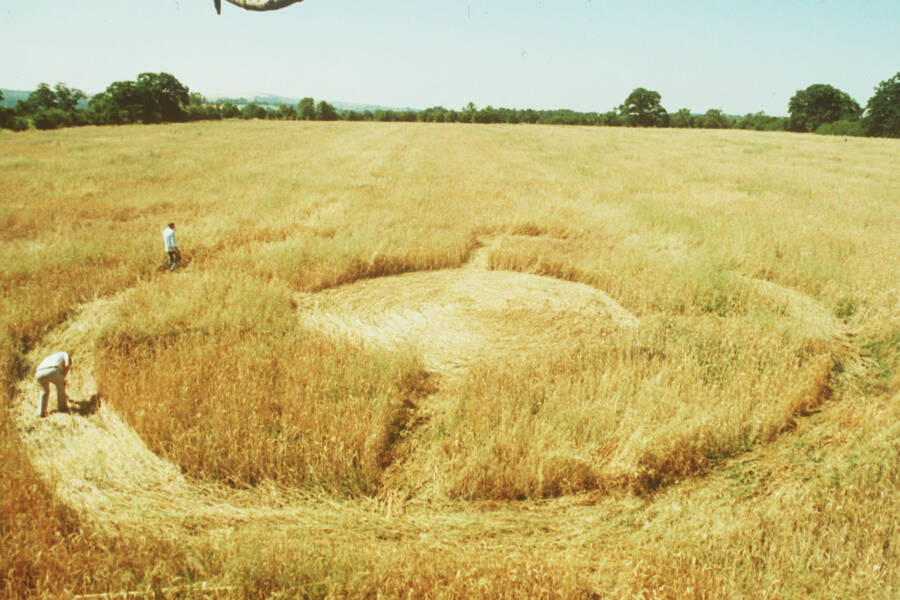 Crop Circles: The Hoax-Filled History And The Mysteries That Remain