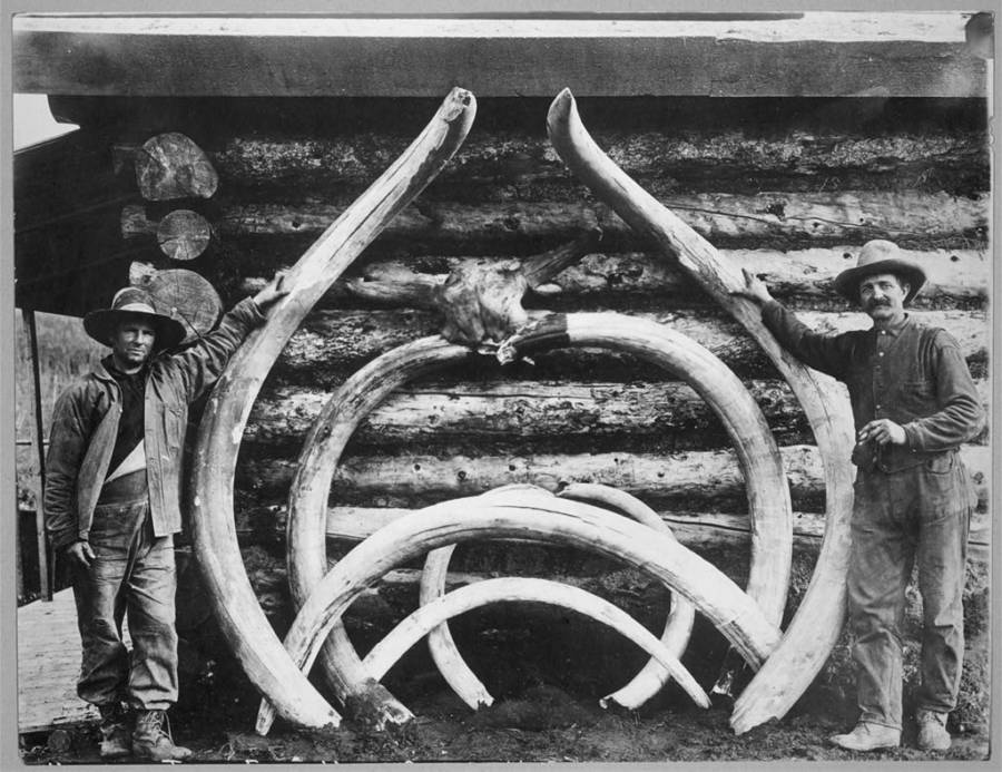 Settling Alaska: Historic Photos Of The American Invasion