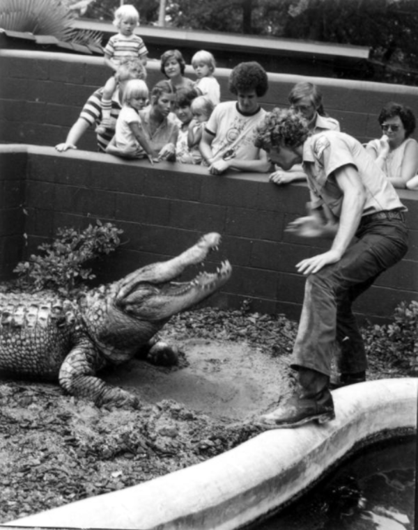 Alligator Farms: 33 Astounding Vintage Photographs