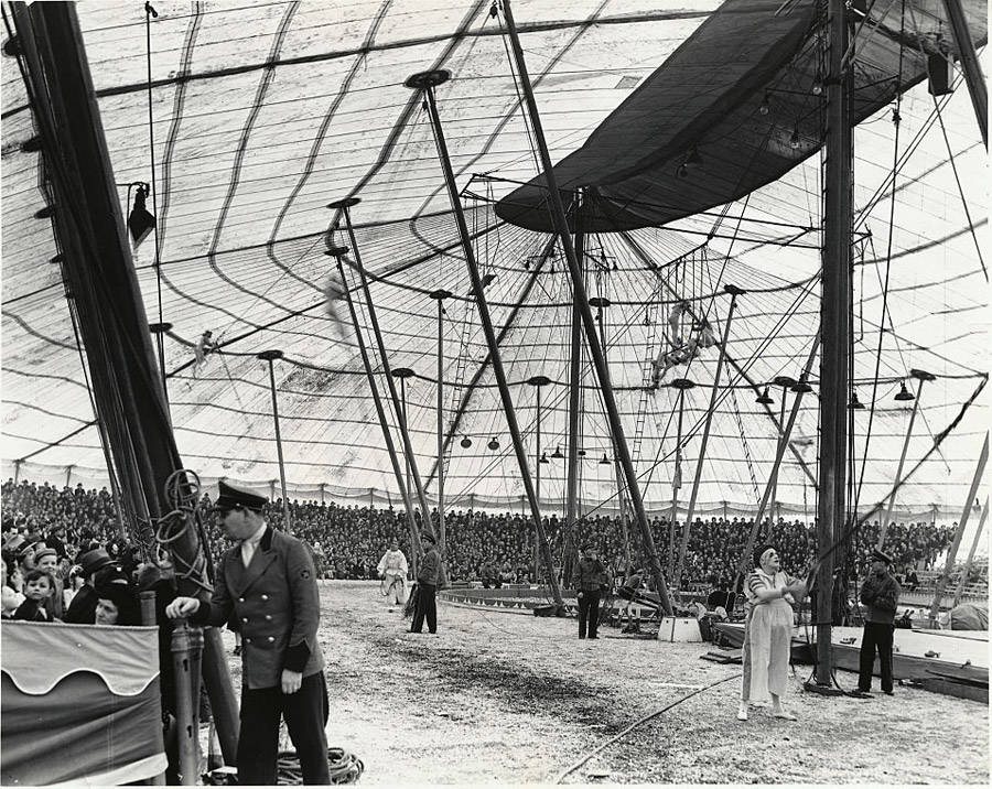 Vintage Circus Photos: 36 Images From The Glory Day Of The Big Top
