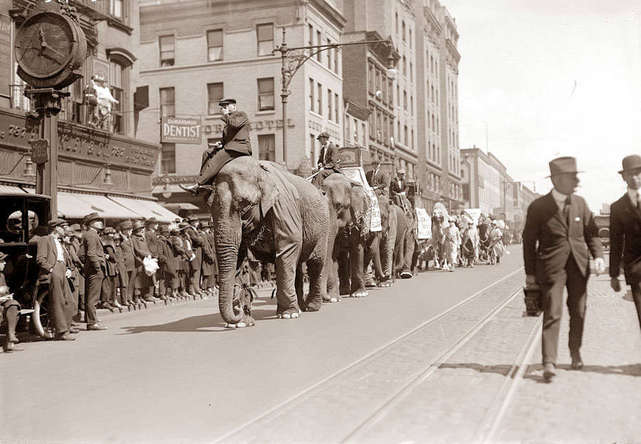 Vintage Circus Photos: 36 Images From The Glory Day Of The Big Top
