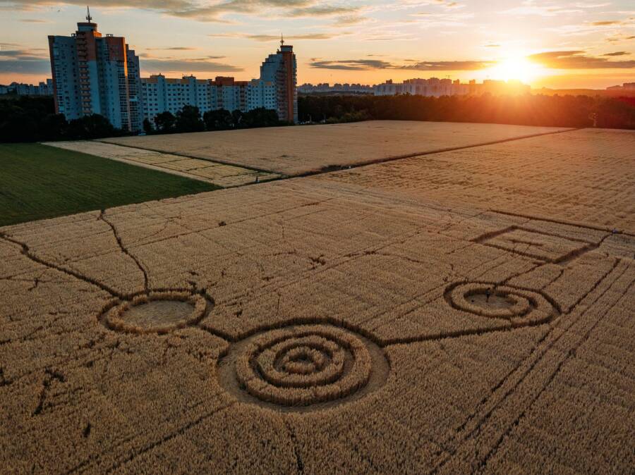 Crop Circles: The Hoax-Filled History And The Mysteries That Remain