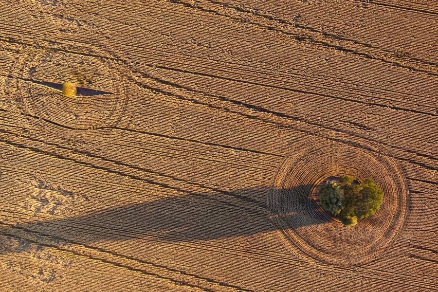 Crop Circles: The Hoax-Filled History And The Mysteries That Remain