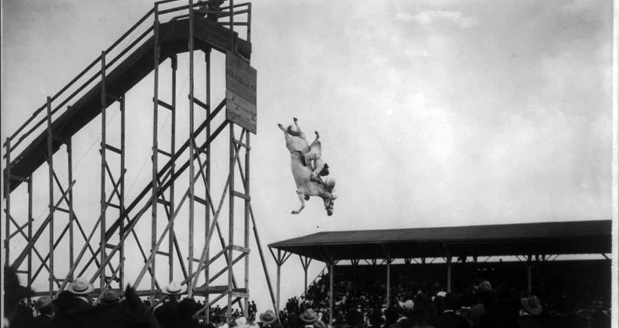 Horse Diving: 21 Photos From The Odd, Forgotten Sport