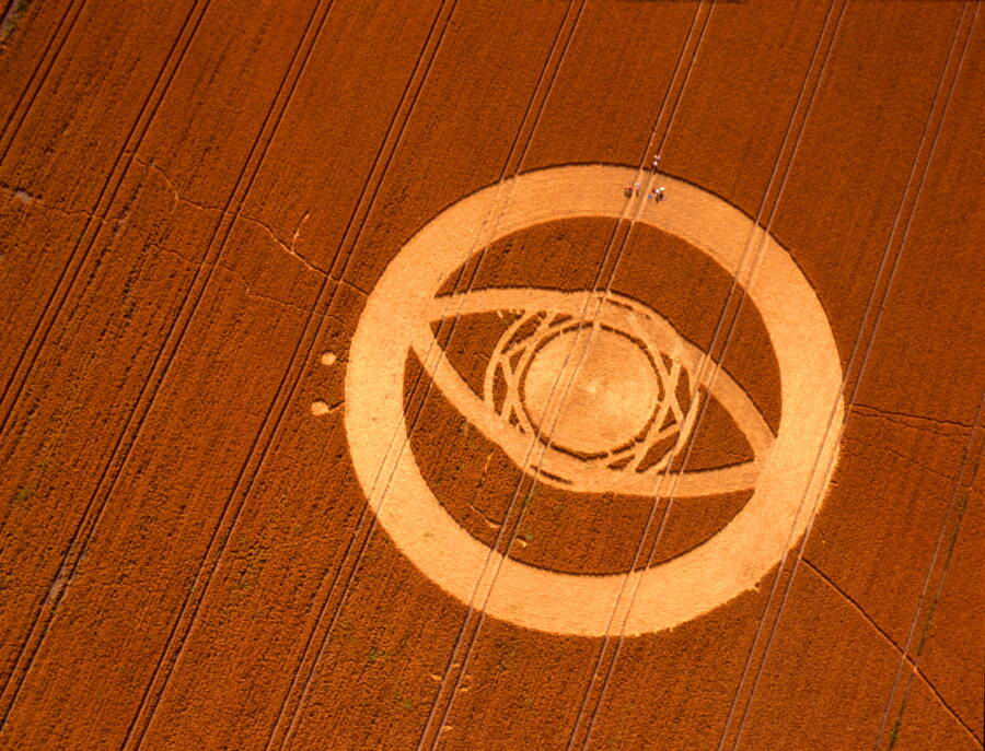 Crop Circles: The Hoax-Filled History And The Mysteries That Remain