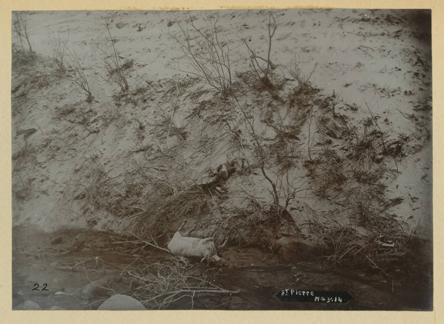 Mount Pelee The Worst Volcanic Disaster Of The 20th Century mount-pelee-the-worst-volcanic-disaster-of-the-20th-century