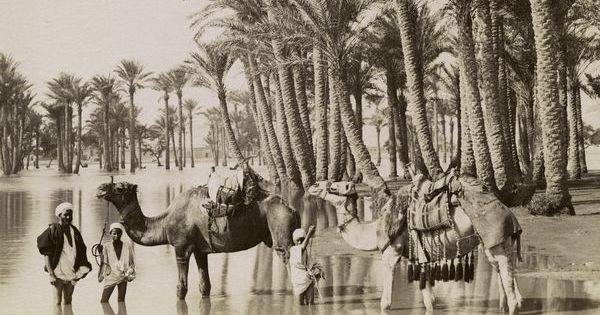 Egyptian Culture Before The British Occupation, In 31 Photos