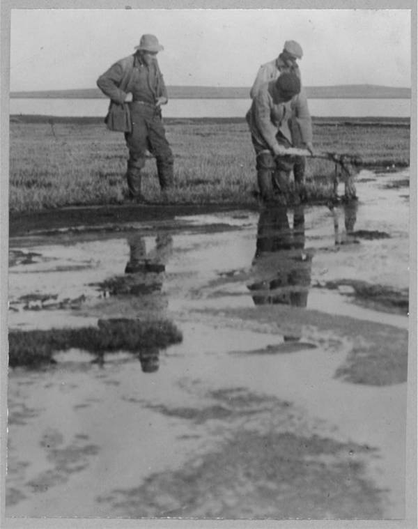 Settling Alaska: Historic Photos Of The American Invasion