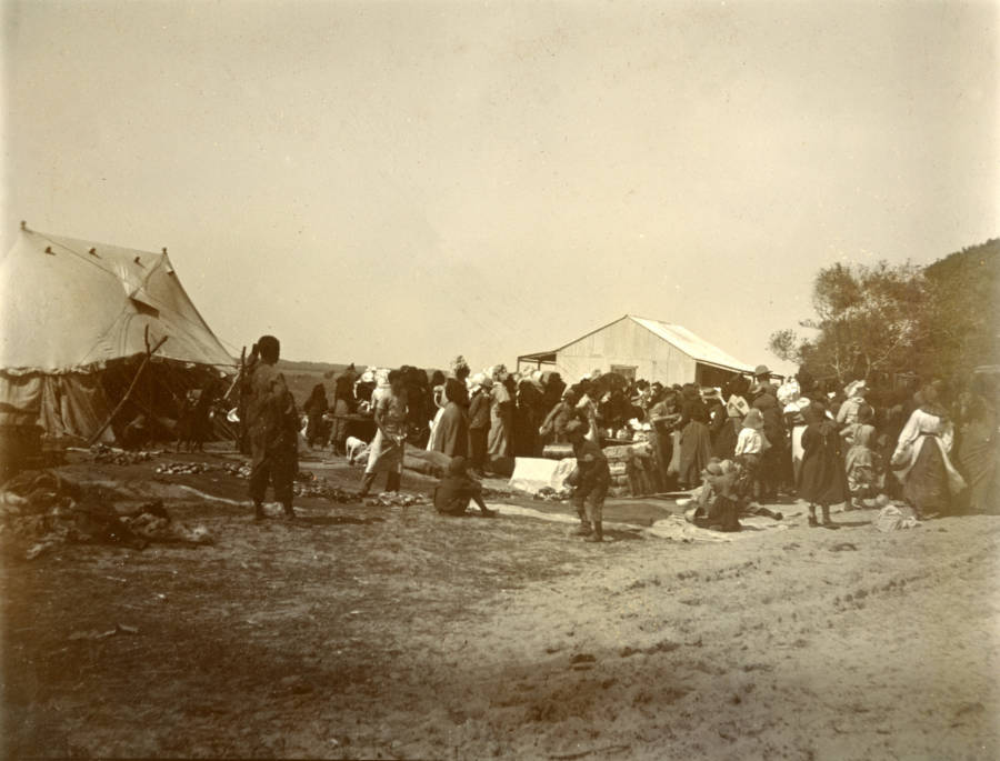 Boer War: Haunting Photos Of History's First Concentration Camps