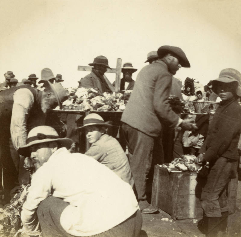 Boer War: Haunting Photos Of History's First Concentration Camps