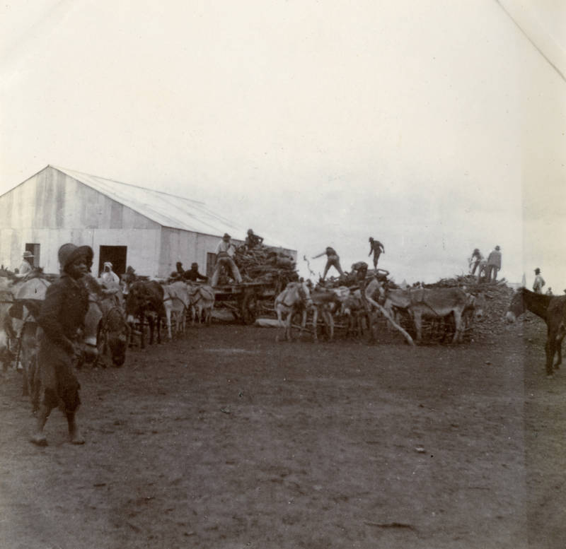 Boer War: Haunting Photos Of History's First Concentration Camps