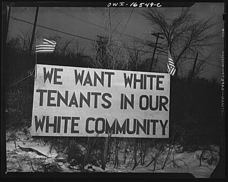 Segregation In America: 33 Powerful Historical Photos