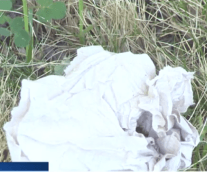 "Mad Pooper" Wanted For Repeatedly Defecating In Front Yards