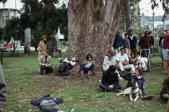 Hippie Photos: 39 Images From The Height Of The 1960s