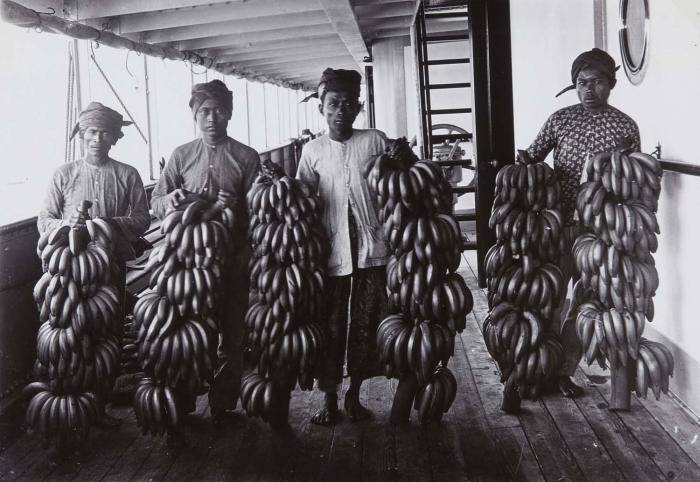The Banana Wars: How The U.S. Plundered Central America For Corporations