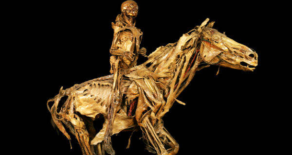 The Flayed Men And Deformities Of The Musee Fragonard