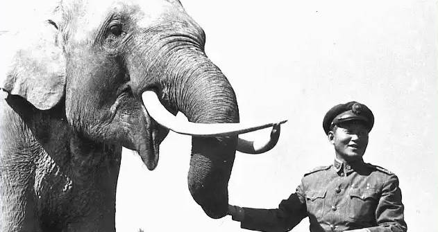 Army Mascots Of Decades Past: 16 Vintage Photos