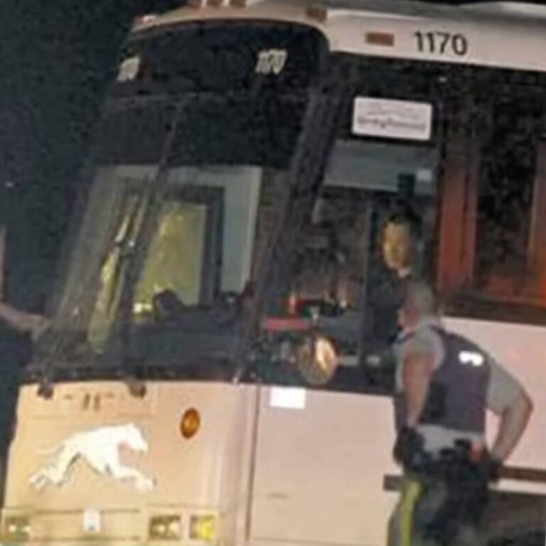 Vince Li And His Horrific Murder Of Tim McLean In 2008