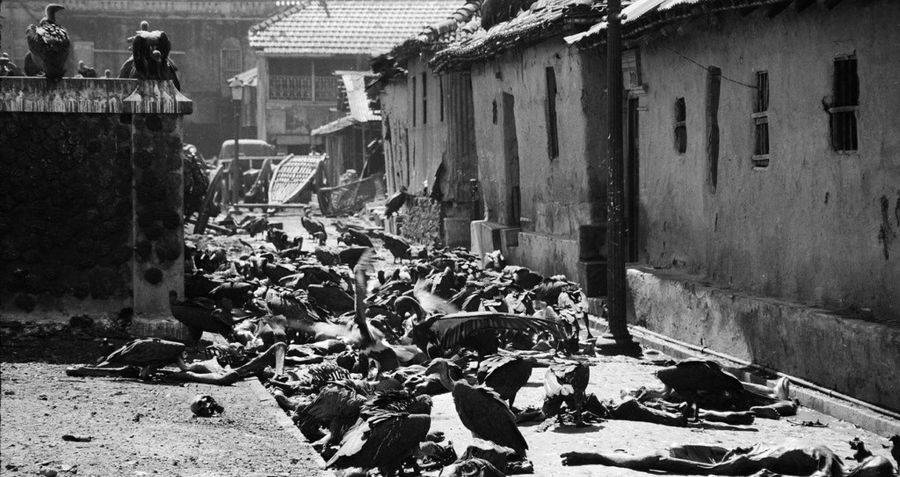 Bengal Famine: How British Policies Killed 3 Million Indians