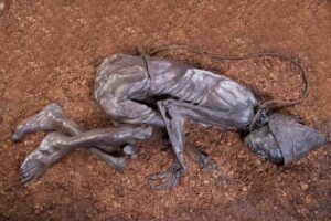 Bog Bodies, Europe's Ancient Mummies Preserved In Peat