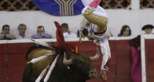 Bullfighter Gored In Groin And Carried Out Of Ring Screaming [VIDEO ...