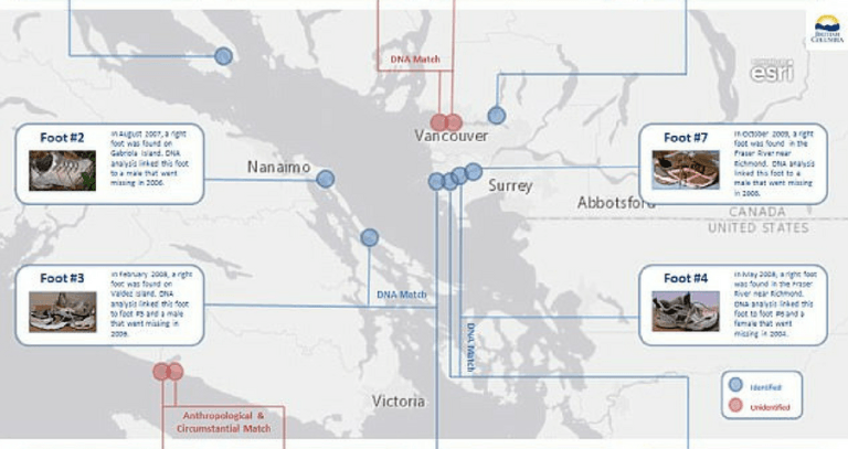 Man Finds 18th Dismembered Foot On Salish Sea Shores
