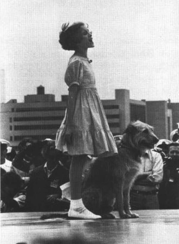 32 Vintage USO Photos Of Military Entertainment Starting With WW2