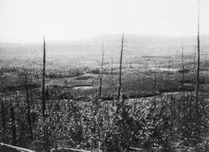 The Mysterious Tunguska Event That Baffles Scientists To This Day
