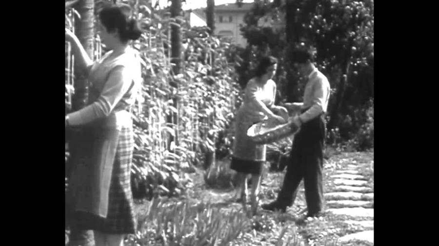 BBC Once Convinced People That A Spaghetti Tree Existed [VIDEO]
