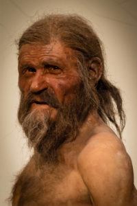 Scientists Now Know What Otzi The Iceman's Last Meal Was