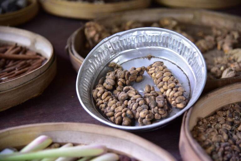 Kopi Luwak, The Bizarre Beverage Known As 'Cat Poop Coffee'