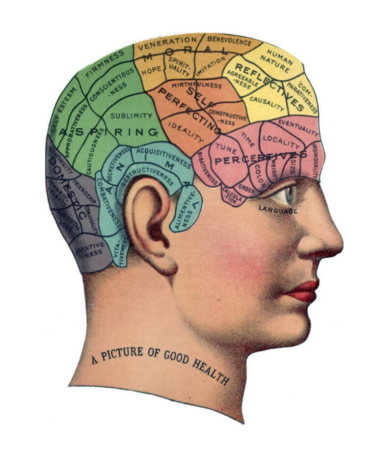 33 Phrenology Charts That Once Passed For Medical Science