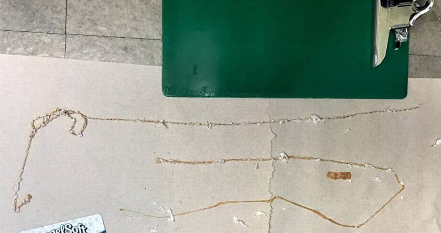 Sushi Lover Pulls Five And A Half Foot Tapeworm From Own Intestines Photo