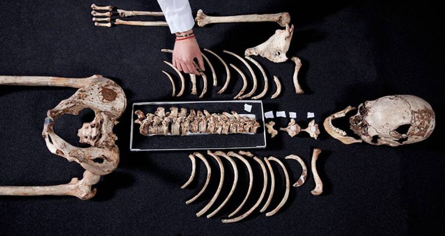 Cheddar Man, Britain's Oldest Complete Skeleton