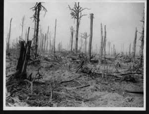 Adrian Carton de Wiart: The Soldier Who Could Not Be Killed