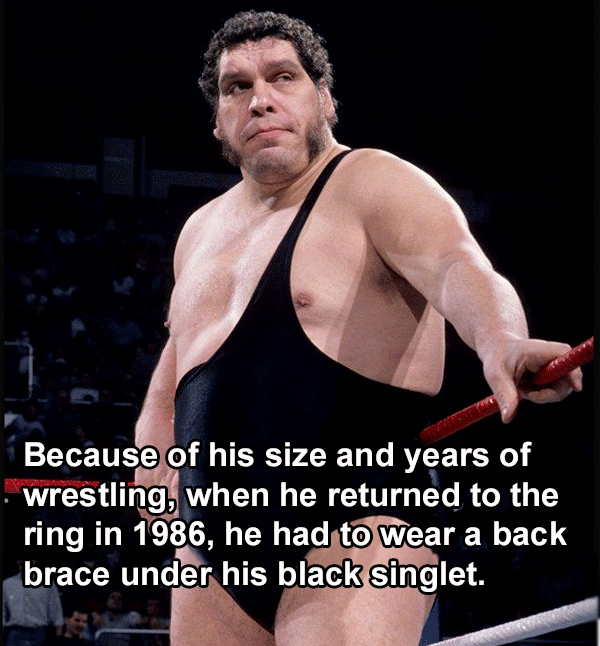 26 Andre The Giant Facts You'll Hardly Believe Are True