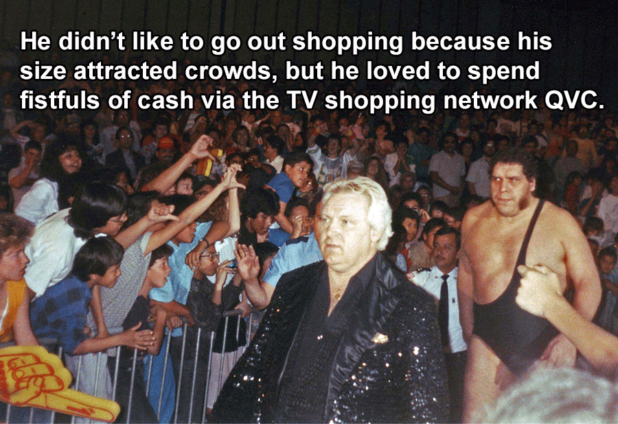 26 Andre The Giant Facts You'll Hardly Believe Are True