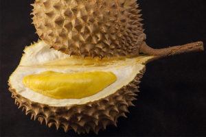 What Is Durian, The Southeast Asian Fruit Said To Smell Like Death?