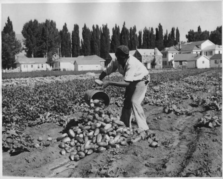 Inside The Exploding Pants Epidemic Of 1930s New Zealand