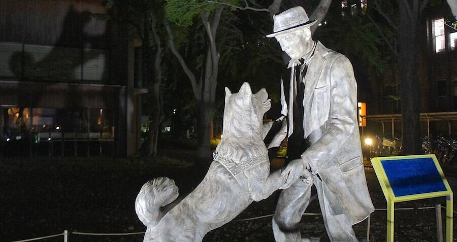 The Heartbreaking Story Of Hachiko, The World's Most Loyal Dog