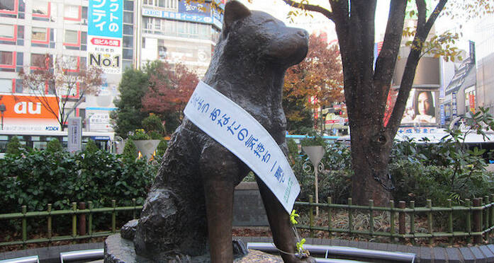 The Heartbreaking Story Of Hachiko, The World's Most Loyal Dog