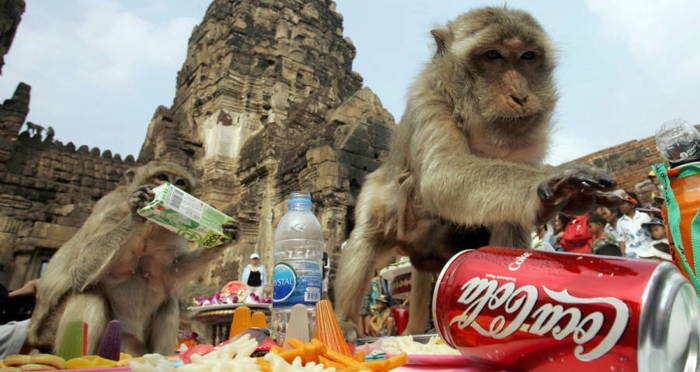 26 Weird Holidays And Bizarre Festivals From Around The World