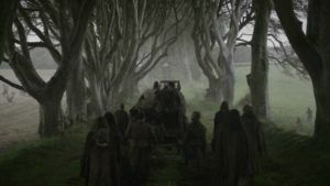 Dark Hedges: Ireland's Eerie Tree Tunnel Made Famous By 'Game Of Thrones'