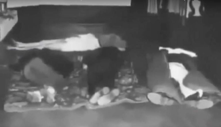 John List Killed His Family In Cold Blood, Then Disappeared For 18 Years