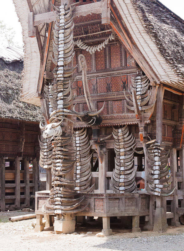 The Fascinating Death Rituals Of Indonesia's Toraja People