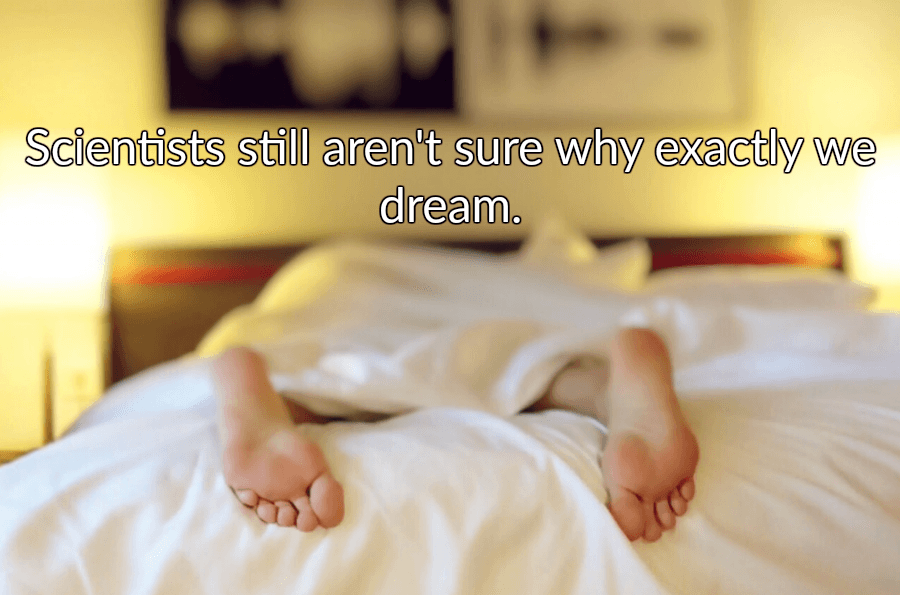 Facts About Dreams That Will Make You Want To Sleep Right Now