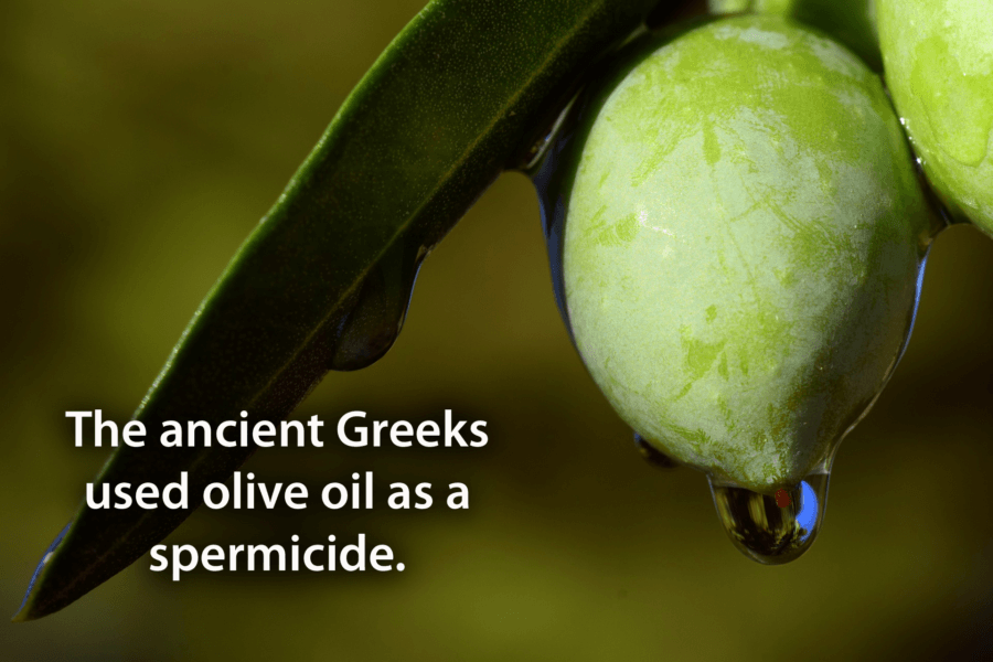 33 Ancient Greece Facts You Wont Find In History Textbooks